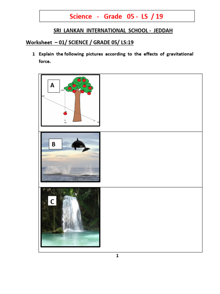 19th Lesson Worksheet Grade 5 Science | PDF | Weight | Force