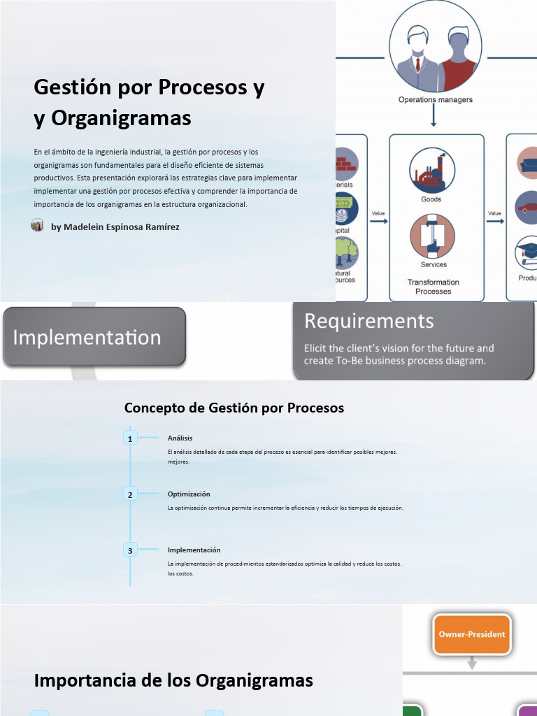 Los Procesos y Componentes. Importancia y Clasificacion de Procesos ...