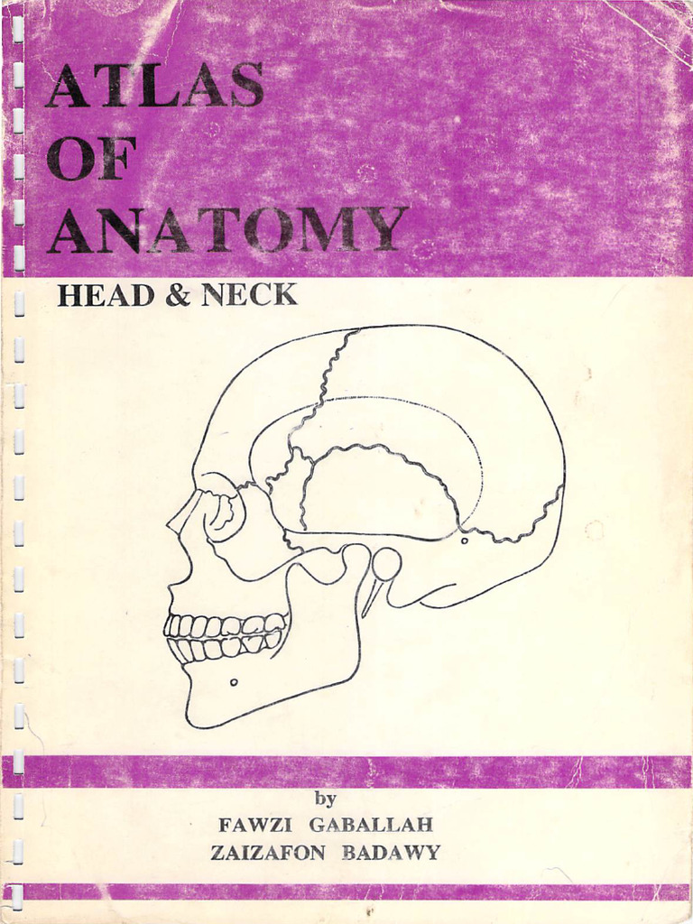 Gaballah-1990-LIBRO-Atlas of Anatomy Head Neck | PDF | Common Carotid Artery | Human Head And Neck