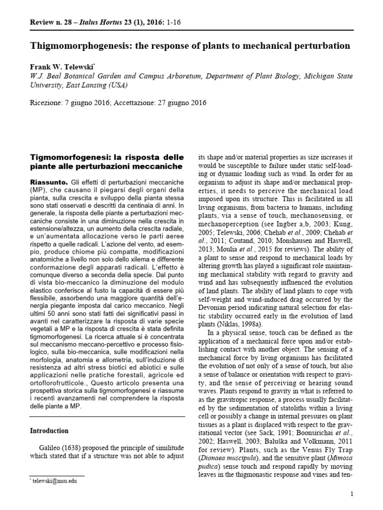 Frank W Telewski Thigmomorphogenesis The | PDF | Leaf | Cytoskeleton
