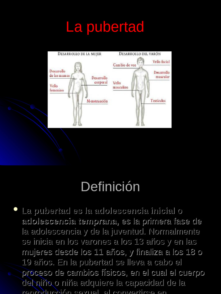 La Pubertad, Parcial | PDF