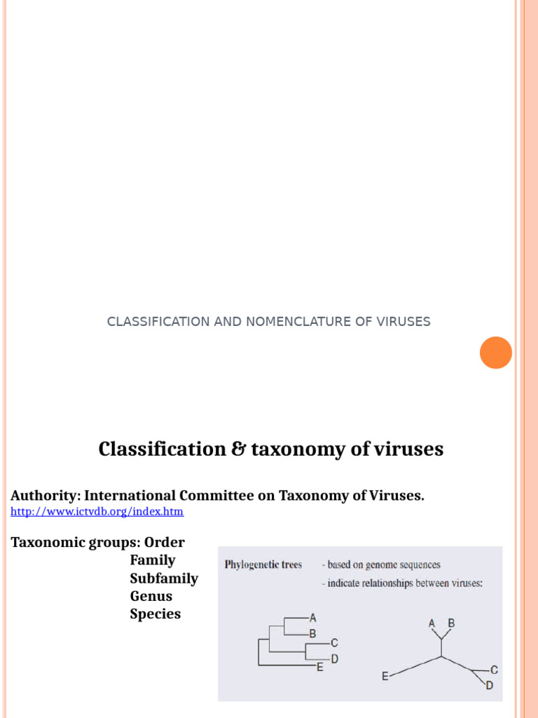 CLASSIFICATION OF VIRUSES | PDF | Virus | Sense (Molecular Biology)