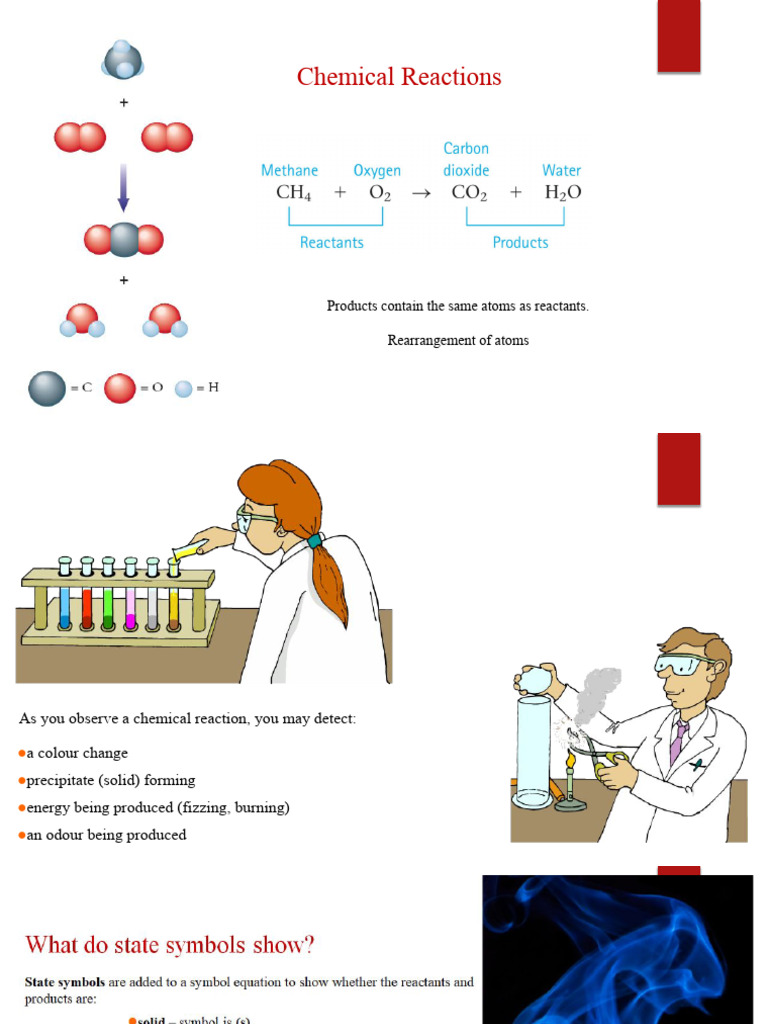 Understanding Chemical Reactions and Rates | PDF | Reaction Rate ...