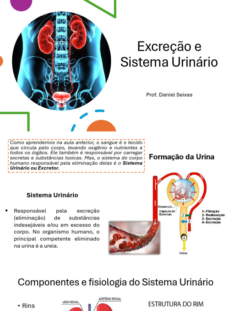 Diferença De Secreção E Excreção: Entenda A Diferença. – XJXG