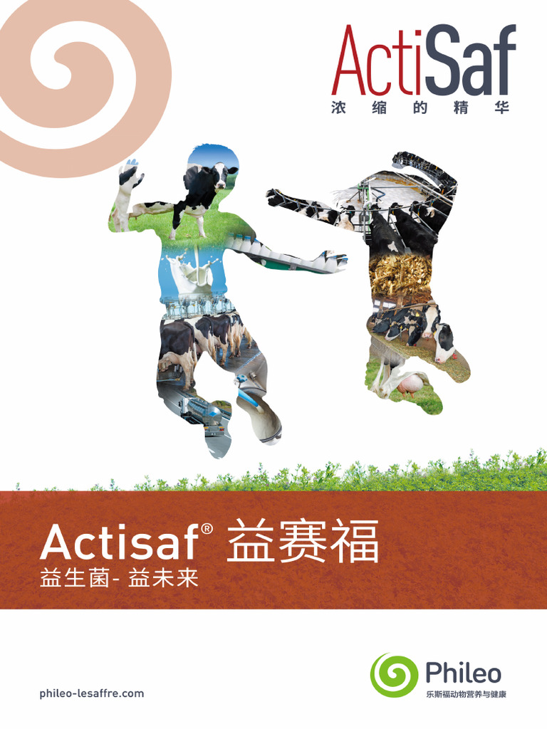 Actisaf Ruminate Brochure | PDF