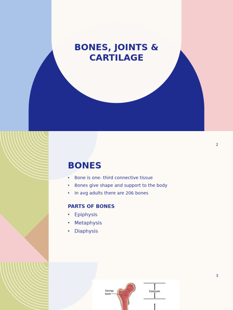 Understanding Bones, Joints, and Cartilage | PDF | Bone | Osteoblast