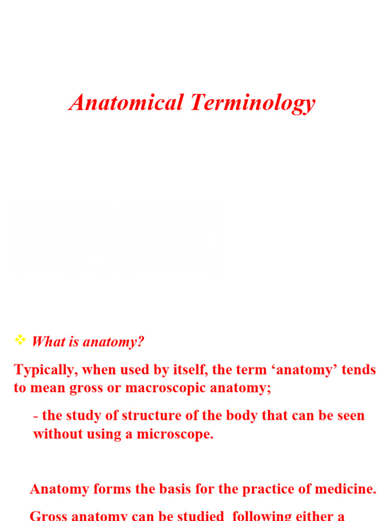 Understanding Anatomical Terminology | PDF | Anatomical Terms Of Motion ...