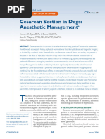 Metacam Dosage Chart for Dogs | PDF | Medical Treatments | Pharmacology