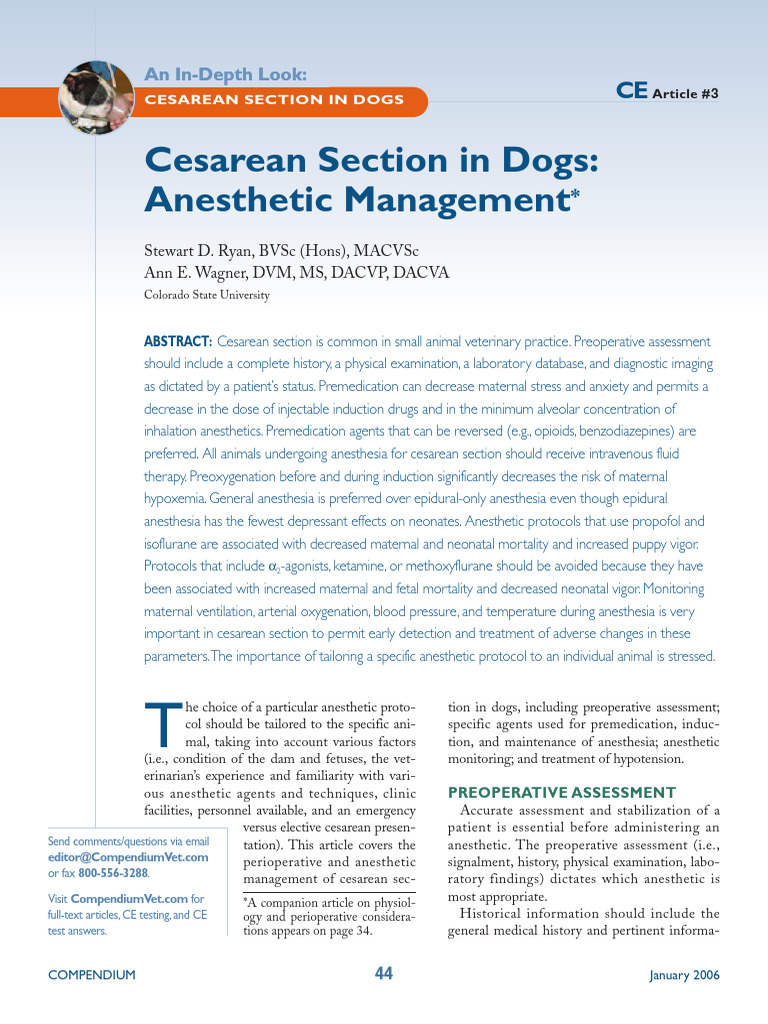 filePV Open Pyometra Management | PDF | Anesthesia | Midazolam