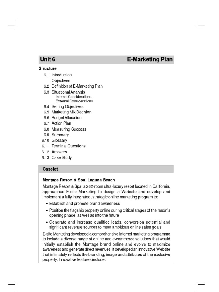 Unit 06 - E-Marketing Plan | PDF | Digital Marketing | Marketing