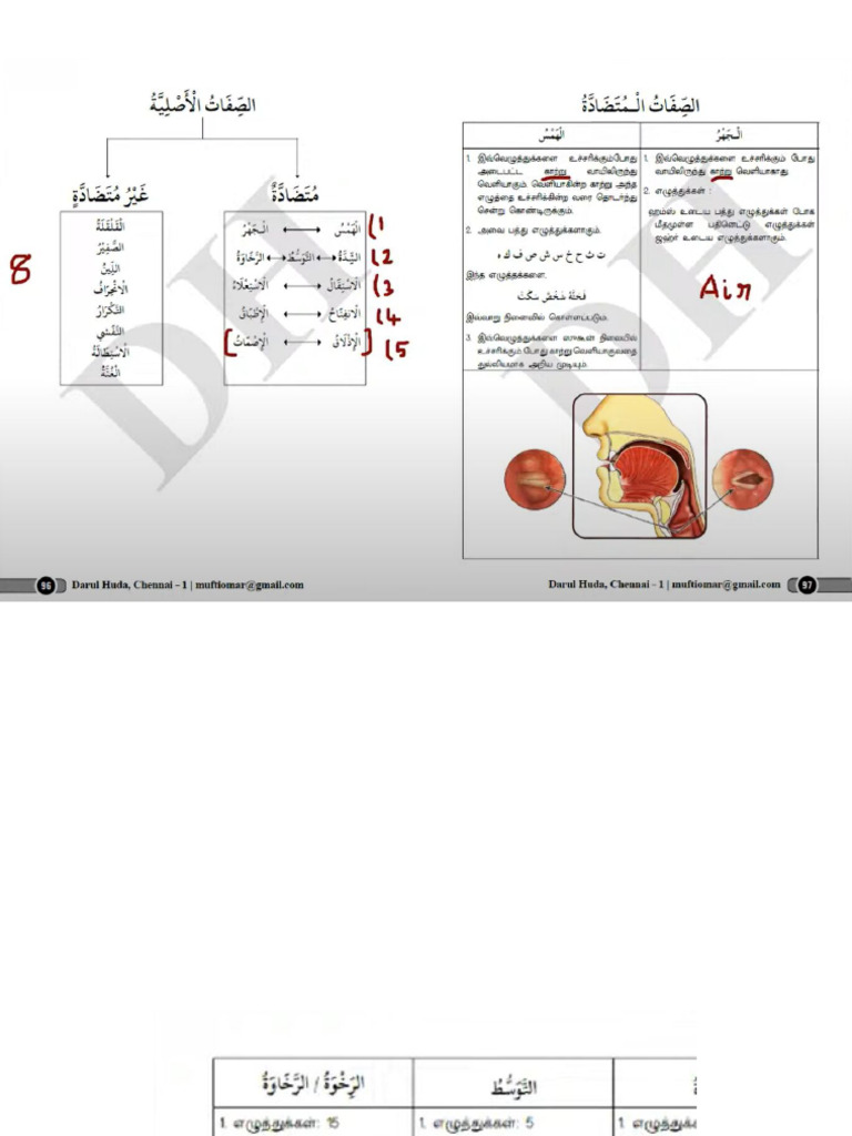 Class 6 | PDF