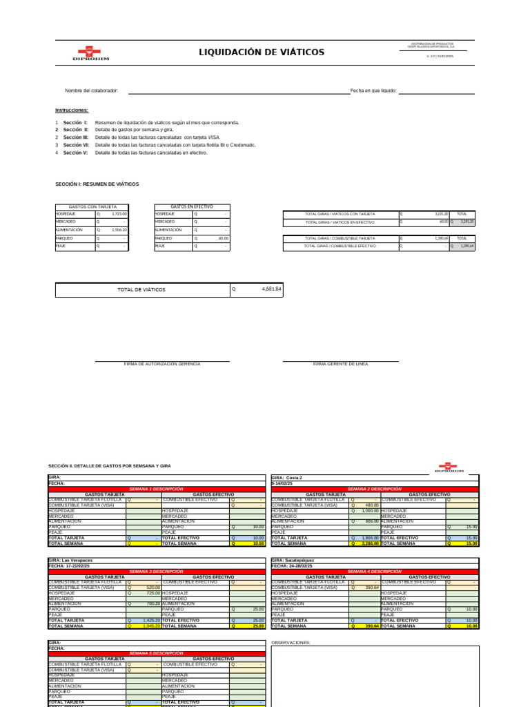 Formato Dipro Liq. Veronica Mena, Febrero (2) 2025 | PDF