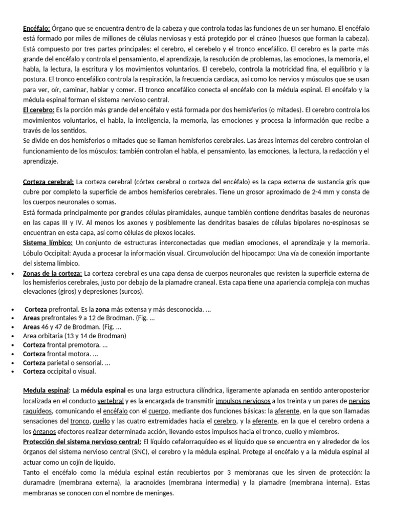 Sebas | PDF | Cerebro | Sistema nervioso central