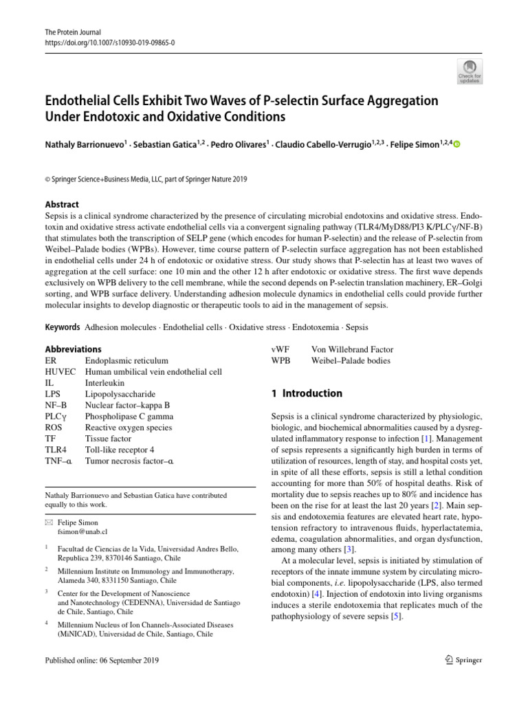 Endothelial Cells Exhibit Two Waves of P-Selectin Surface Aggregation ...