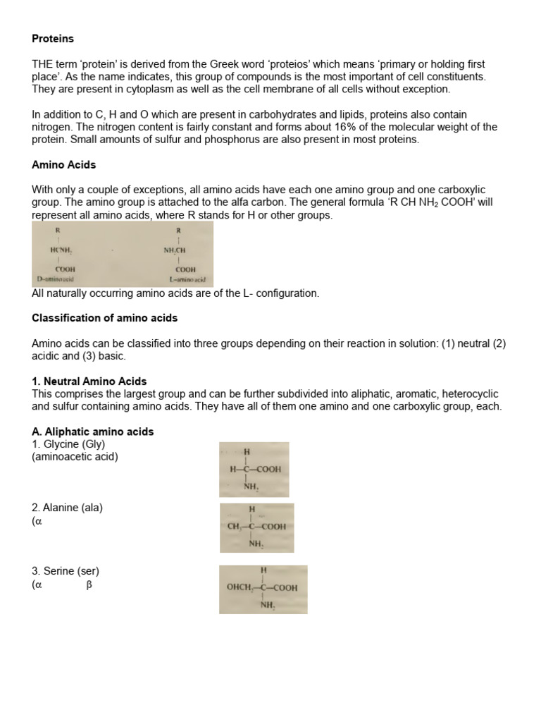Proteins Amino Acid Lecture | PDF | Amino Acid | Acid
