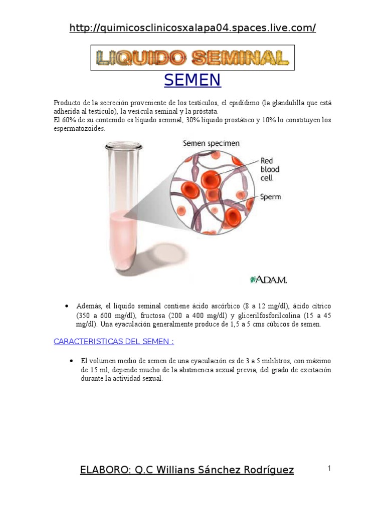 Liquido Seminal