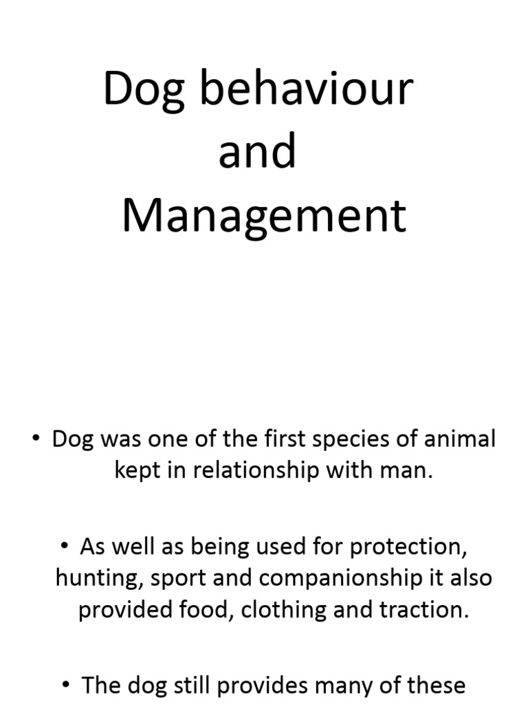 Understanding Dog Behavior and Management | PDF | Dogs | Vagina
