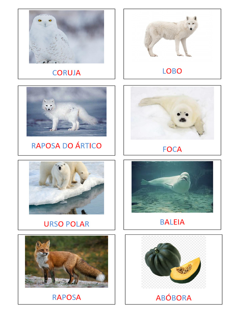 Animais Polo Artico | PDF