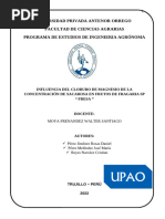 Folleto Florastart LQ | PDF | Flores | Botánica