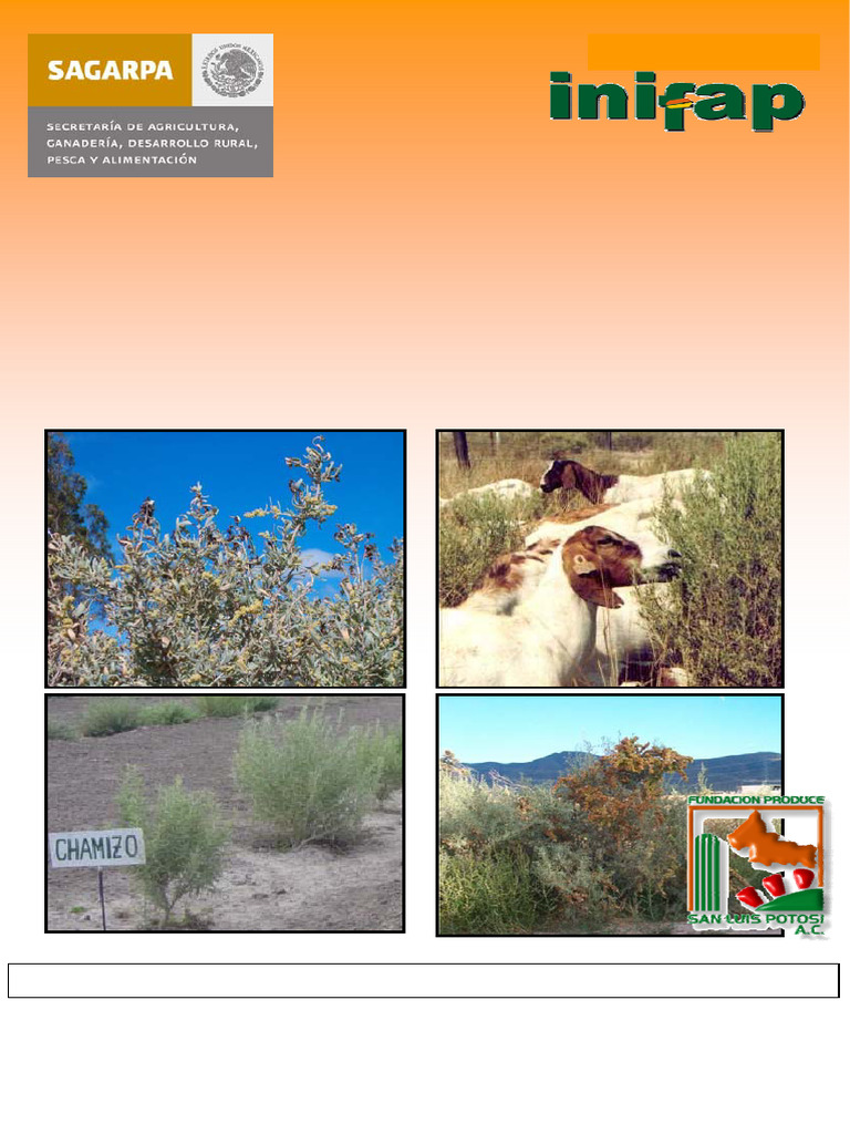 CHAMIZO | PDF | Semilla | Germinación