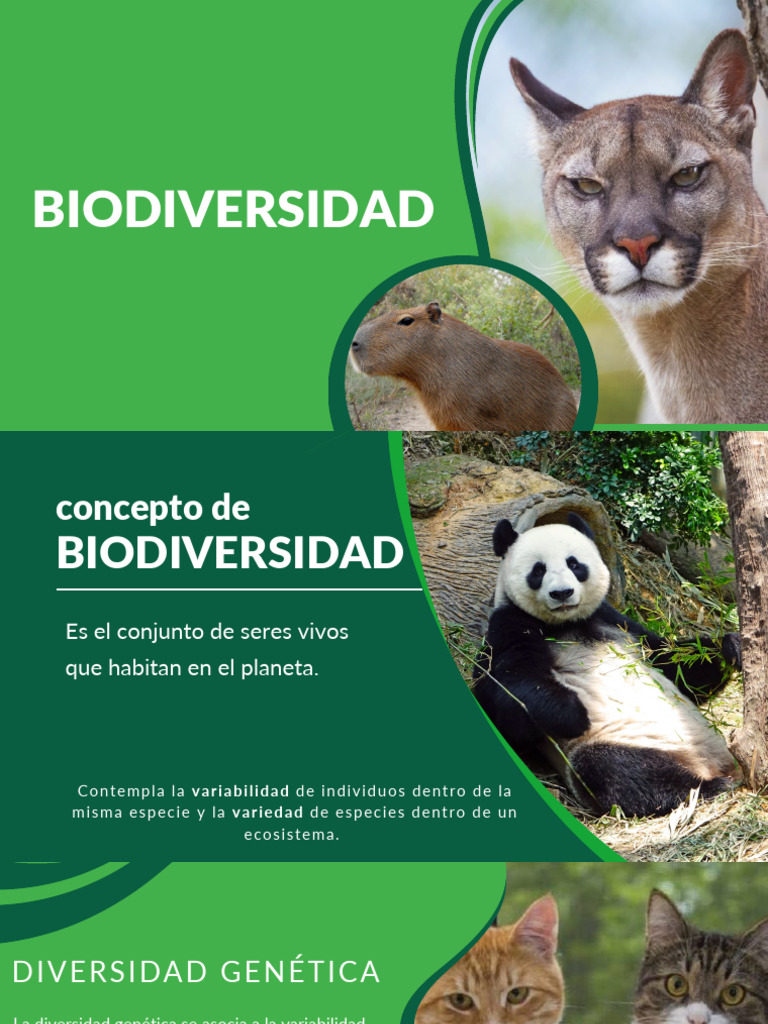 Bio Divers I Dad | PDF | Genética | Naturaleza