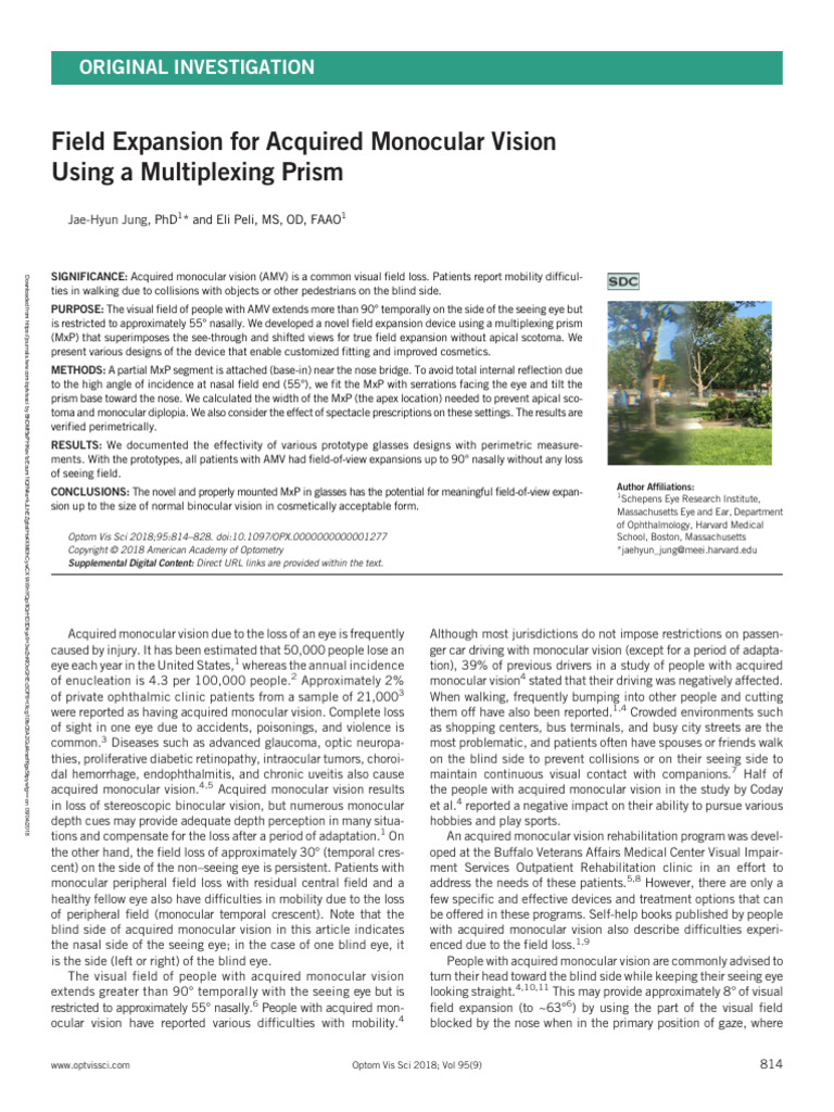 Field Expansion For Acquired Monocular Vision.16-Merged | PDF | Visual ...