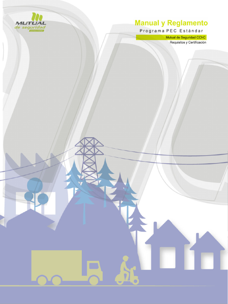 Manual y Reglamento PEC Estándar | PDF | Seguridad y salud ocupacional | La seguridad informática