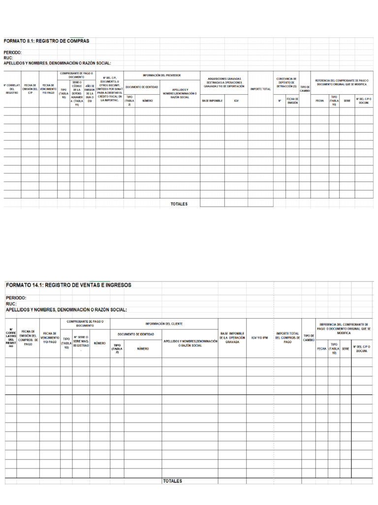 Formatos de Registros | PDF