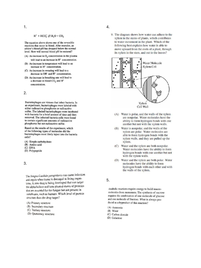Unit 1 Chemistry of Life_student version | PDF