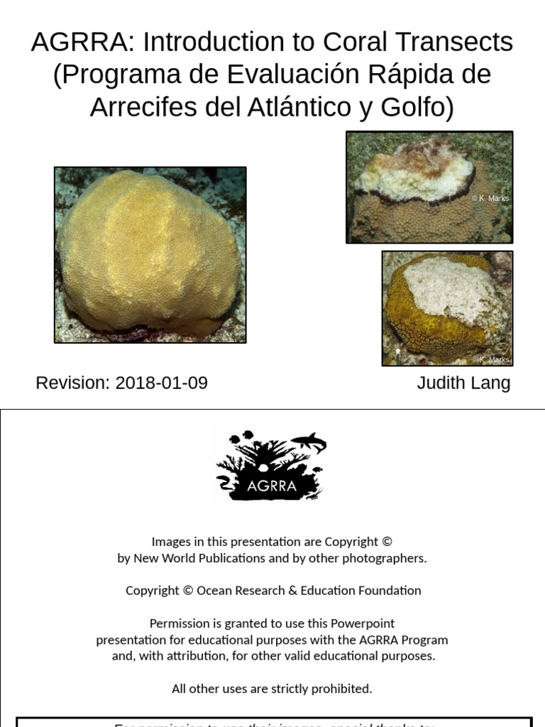 Coral Transect Survey Methodology | PDF | Coral
