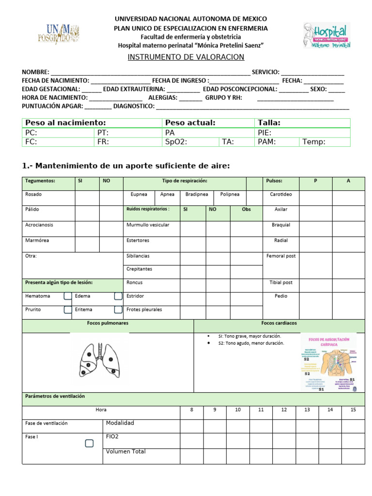 Instrumento de Valoración Neonatal | PDF | Neumología | Respiración