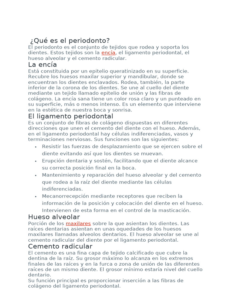 Qué Es El Periodonto | PDF