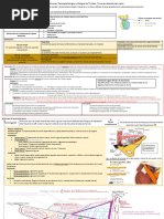 Eventración y Evisceración: Clasificación y Complicaciones | PDF ...