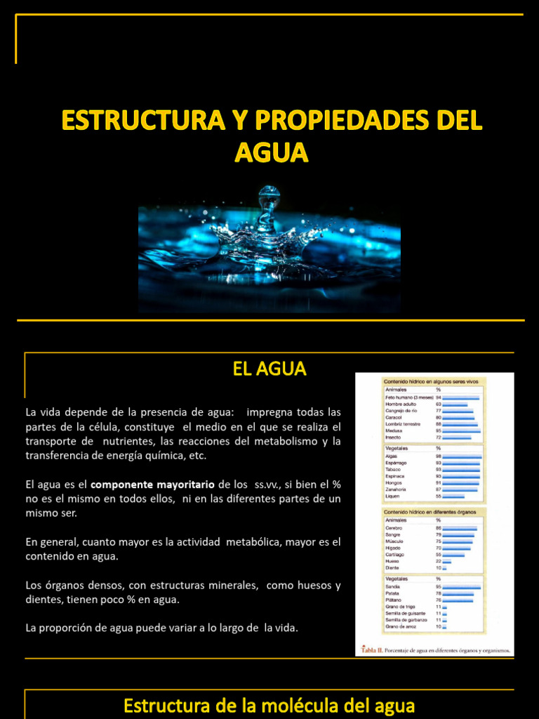 2-2-Estructura y Propiedades Del Agua - 2-3-Definiciones y Escala de PH ...