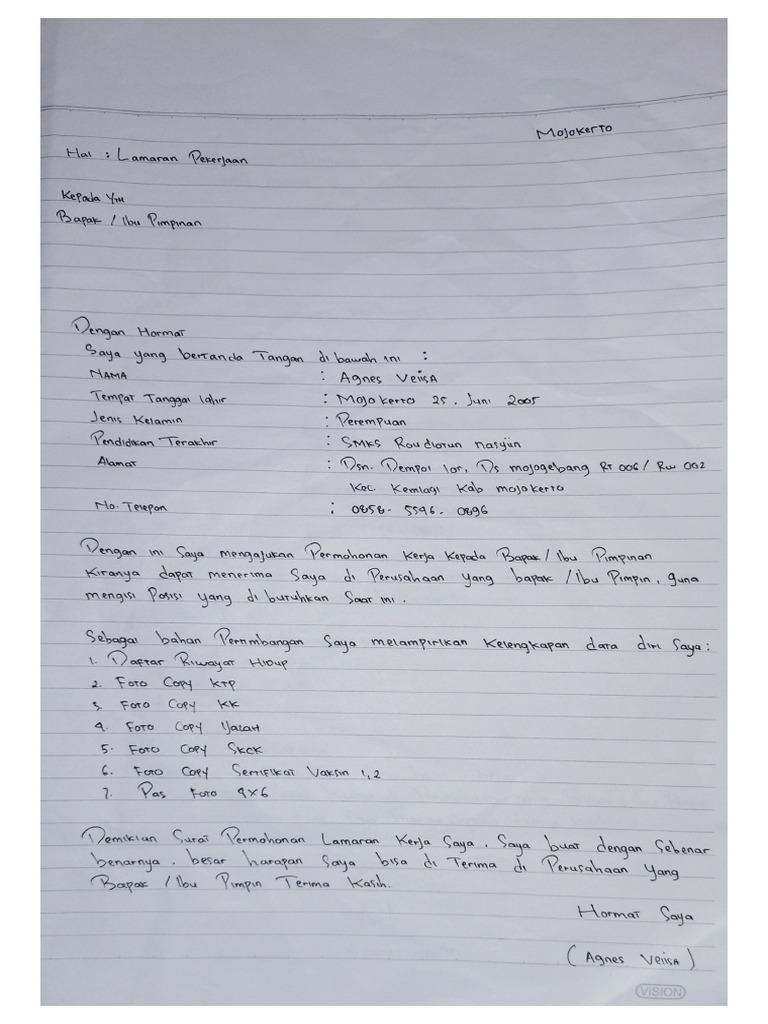 CV Agnes Velisa | PDF