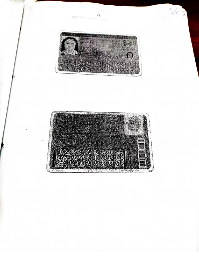 Anexos Alex Percy Garcia Mirez | PDF | Image Scanner | Computer Data