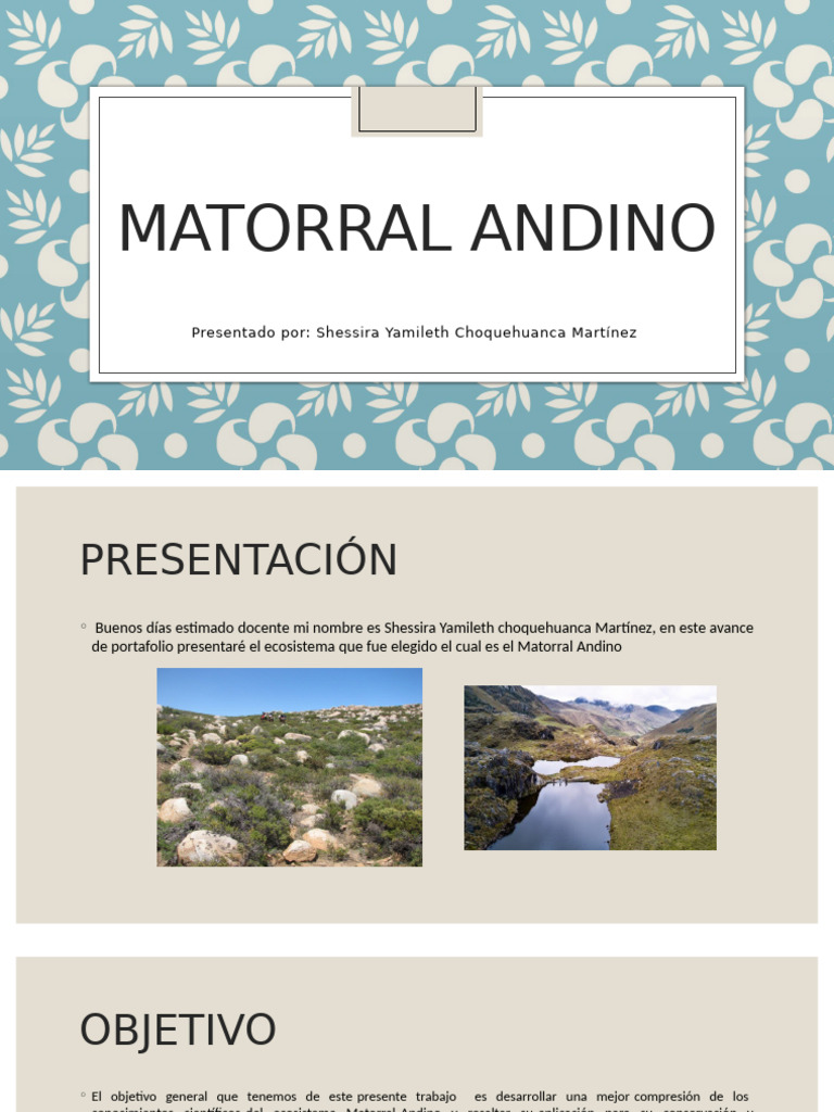 Ecosistema Matorral Andino | PDF | Ecosistema | Energía renovable