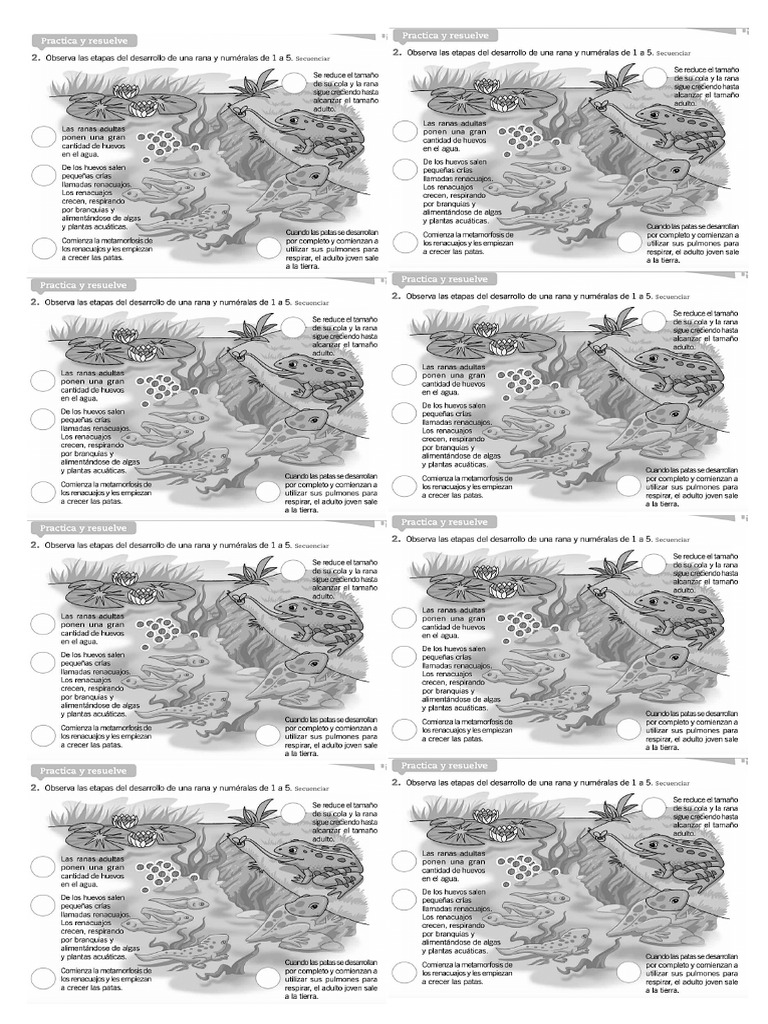 Guia 1 CIEN | PDF | Animal Taxa | Zoología
