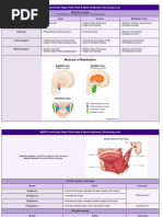 KMU 1st Year BDS Syllabus by TMM | PDF | Hemoglobin | Anemia