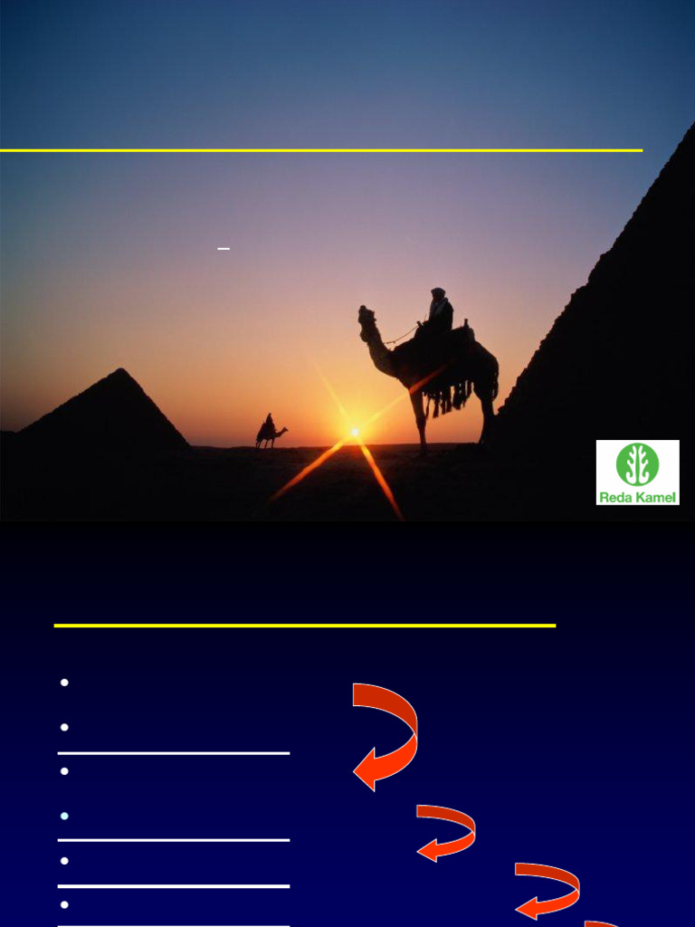 Handout Undergraduate Nose PDF | PDF | Human Nose | Diseases And Disorders