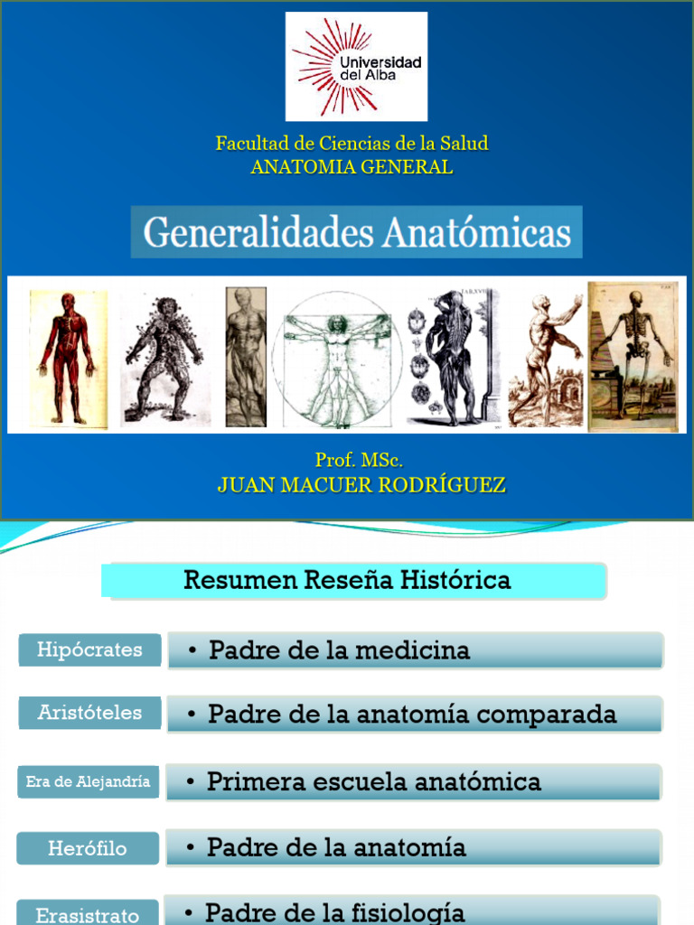 01° Generalidades Anatómicas (31) | PDF