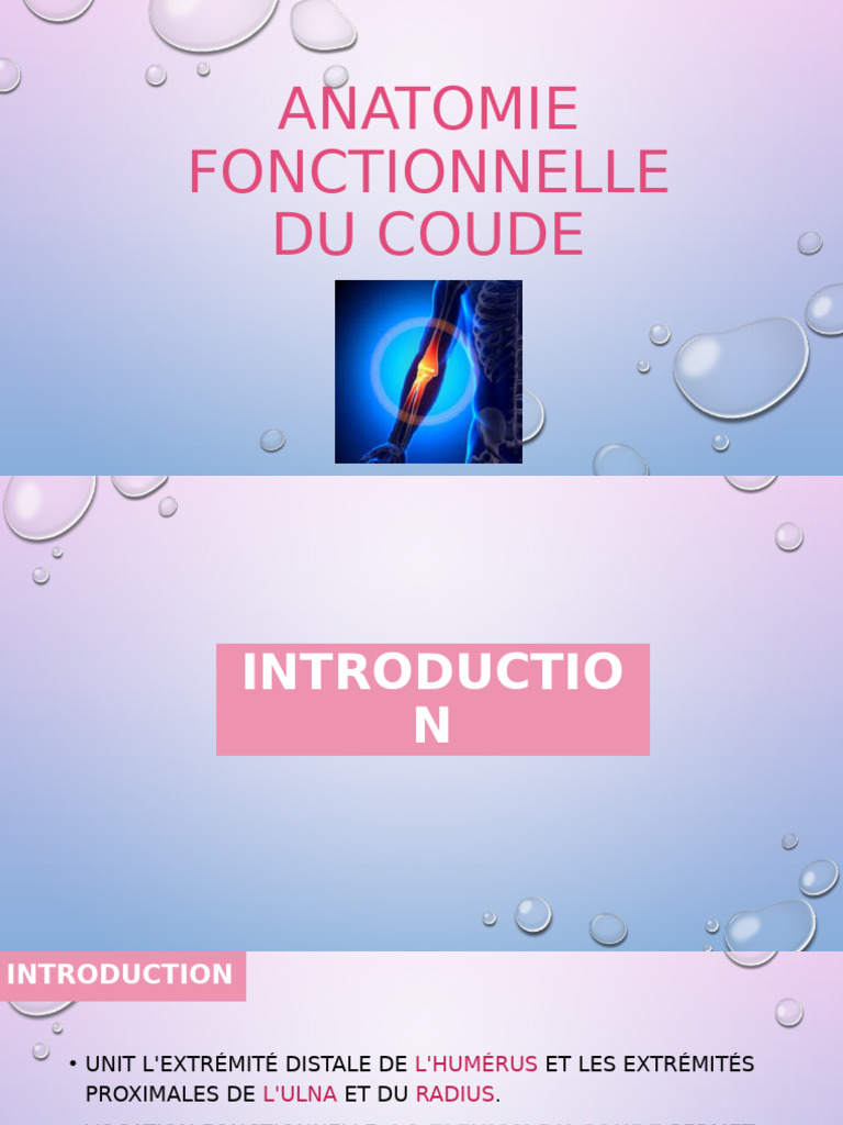 2-Anatomie Fonctionnelle Du Coude | PDF | Articulation (anatomie) | Membres (anatomie)