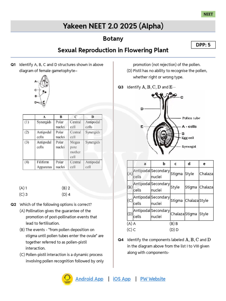 Sexual Reproduction in Flowering Plants - DPP 05 - Yakeen NEET 2.0 2025 ...