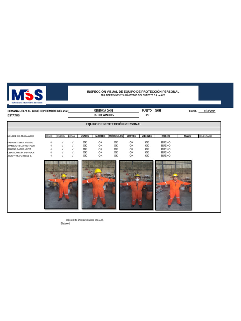 Ficha de Inspeccion de Epp-Hse | PDF