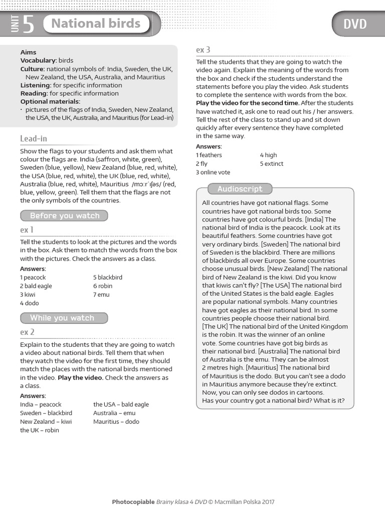 Brainy Klasa 4 DVD TN U5 | PDF | Birds | Eagle