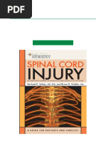 Butler Neural Mobilization | PDF | Nervous System | Nerve