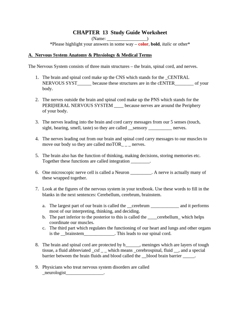 CH 13 Nervous System Worksheet Official (4) FIXED 2 | PDF | Central ...