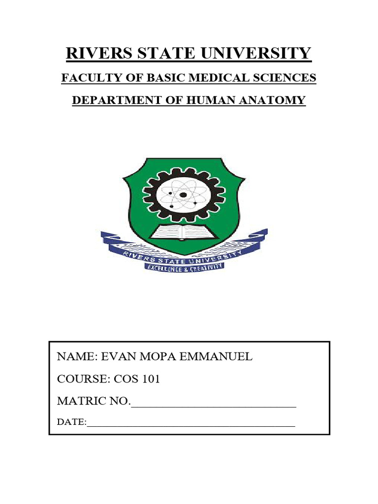The Use of Computer in Anatomy | PDF | Medical Imaging | Ct Scan