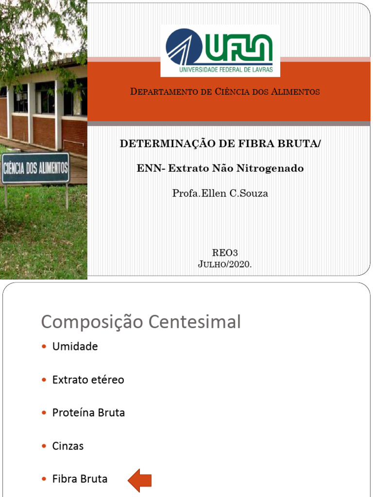 Slides REO3 - Determinação Da Fibra Bruta | PDF | Fibra alimentar ...