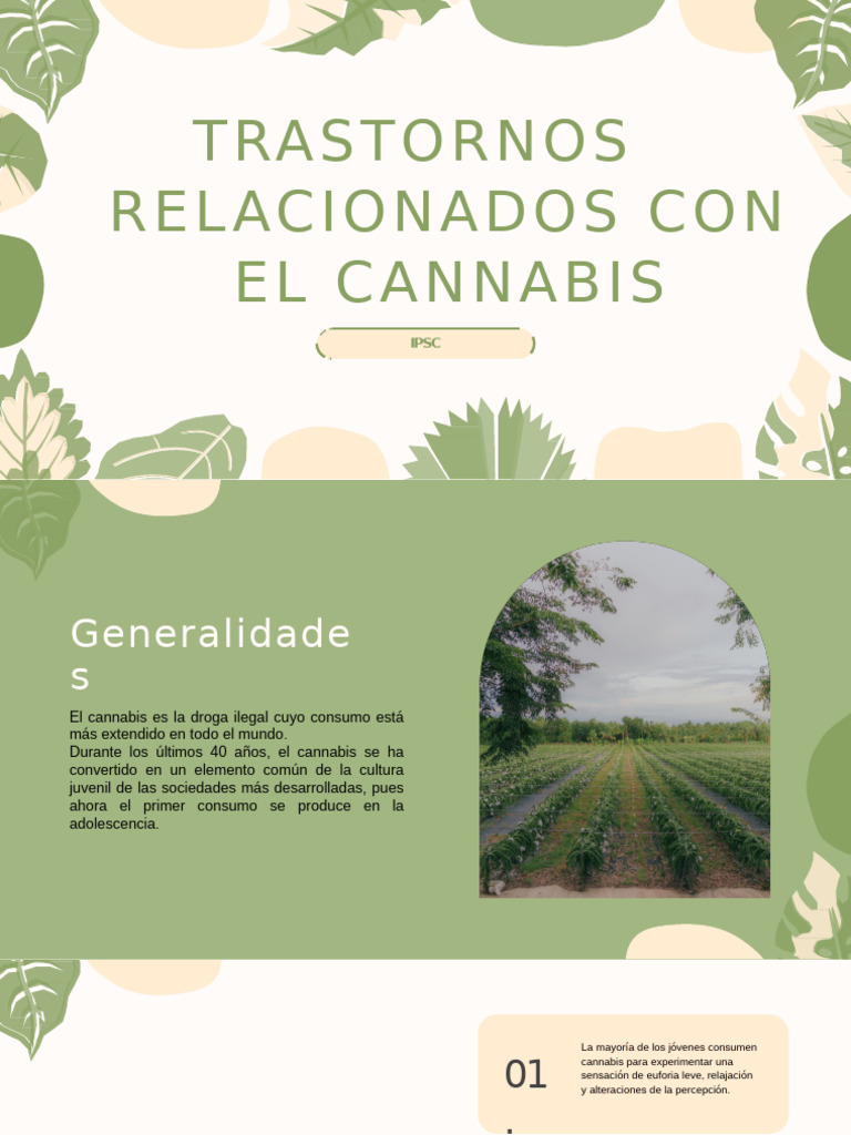 Trastornos Cannabis | PDF | Cannabis (Droga) | Tetrahidrocannabinol